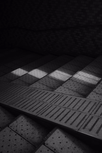 Step Up vs Ramp Horse Trailer: Choose the Right One